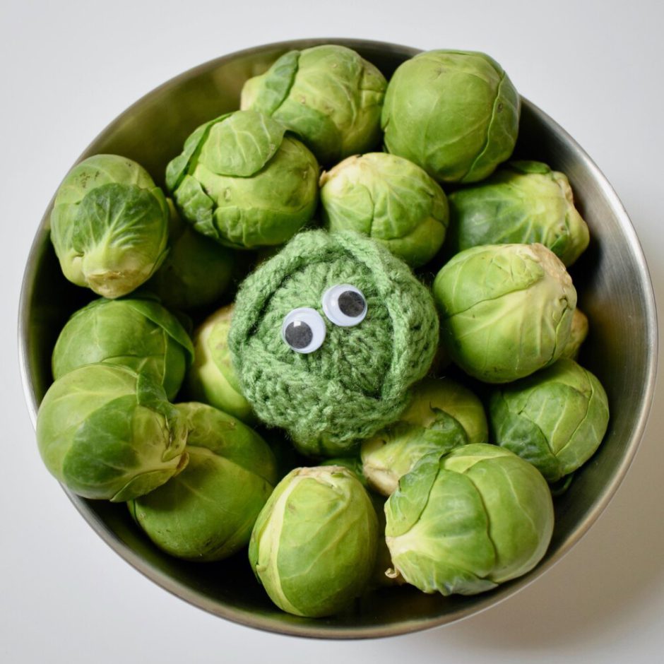 Sweetest Knitted Brussel Sprout Free Pattern – Cocador